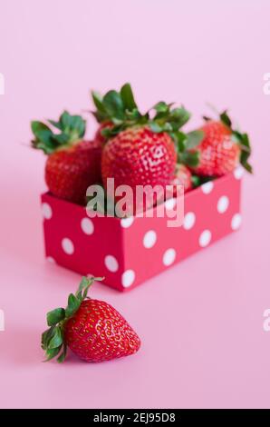 Valentines day card with gift boxes and rose petals. On red background ...