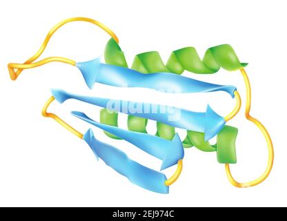 Prion disease, spongiform encephalopathy Stock Photo - Alamy