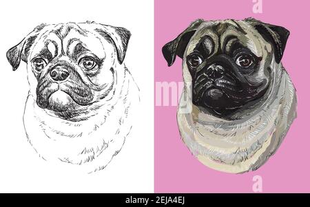 hand drawn vector illustration of pug dog dressed up in dinosaur ...