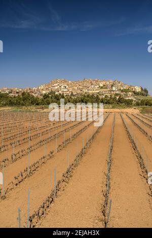 Landscape from Horta de Sant Joan Stock Photo - Alamy