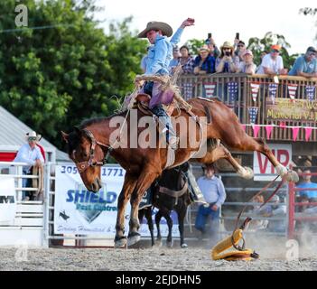 January 25, 2020: Will Pollock competes in the Saddle Bronc Riding ...