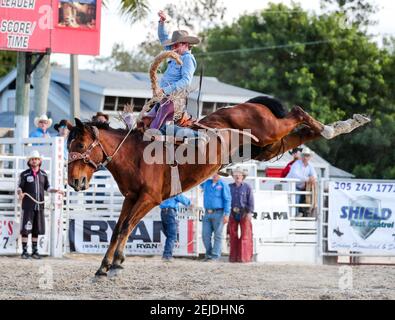 January 25, 2020: Will Pollock competes in the Saddle Bronc Riding ...