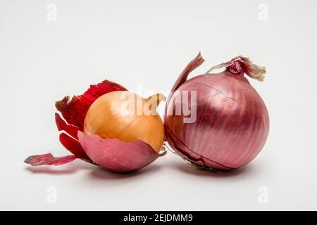 Freshly harvested onions displayed on a neutral background showcasing ...