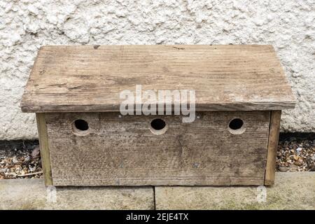 Homemade sparrow box, wooden bird nesting box for house sparrows with ...