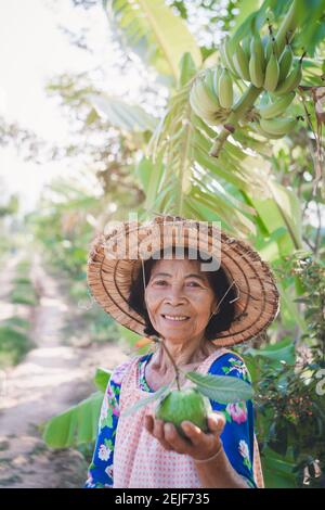 Woman farmer banana field hat traditional rural smiling boot harvest ...