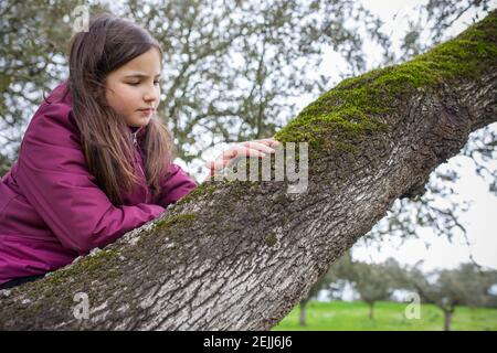Textures in nature Stock Photo - Alamy