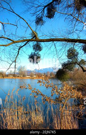 Incredible natural scenery at a pretty lake in Oberriet in Switzerland ...