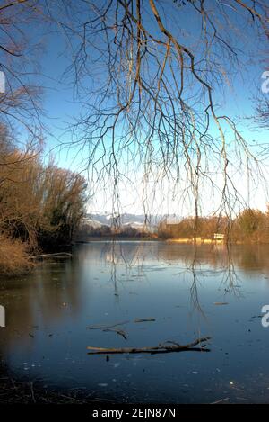 Incredible natural scenery at a pretty lake in Oberriet in Switzerland ...