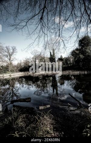 Keston Common recreation area landscape in late winter sunshine Stock ...
