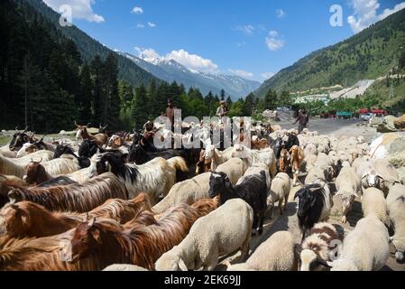 Pakistan Azad Kashmir Gilgit men outside Cinema Bazaar Stock Photo - Alamy