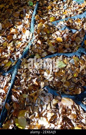 Through the Blue Door,Edzell, Angus, Scotland Stock Photo - Alamy