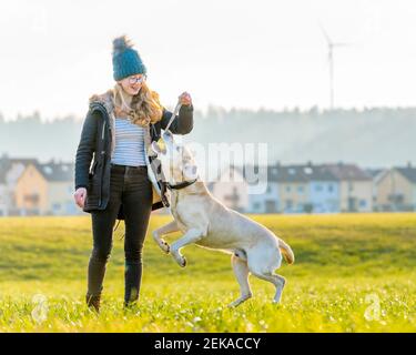 Cheerful woman and dog pet outdoors Stock Photo - Alamy