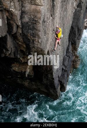 Climber up vertical sea cliff on the west face of Dun Mingulay ...