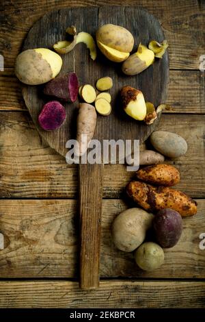 Different types of potatoes: Glorietta, purple sweet potato, Agria ...