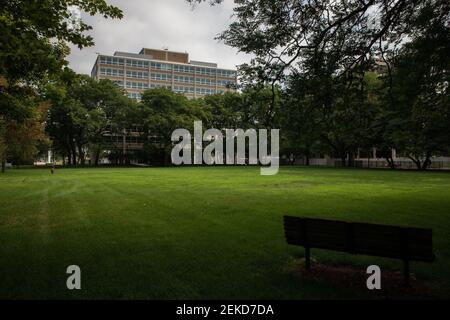 Mies van der Rohe photo Farnsworth House Plano USA 7 Stock Photo - Alamy