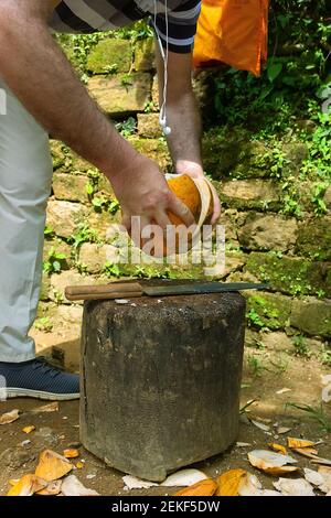 The coconut is cut with a large cleaver after the coconut milk is drunk ...