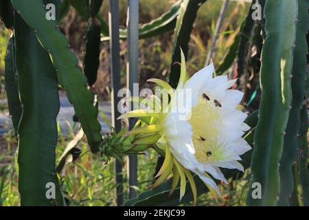 Hubeiï¼ŒCHINA-On September 9, 2020, Xiaogan City, Hubei Province ...