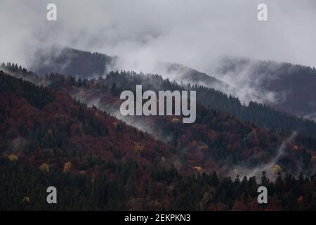 Autumnal forests of Velka Fatra national park, central Slovakia Stock ...