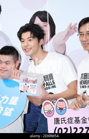 Taiwanese actor and model Greg Hsu or Greg han attends a charity event ...