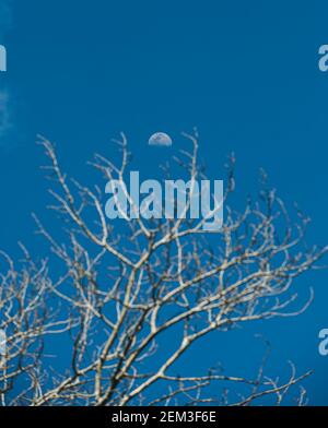 Blurred half moon on blue sky and clear clouds on daytime Stock Photo ...