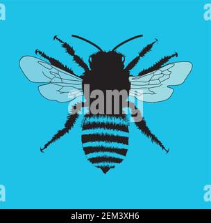 Bee, stinging insect, striped bug with wings, isolated sketch vector ...