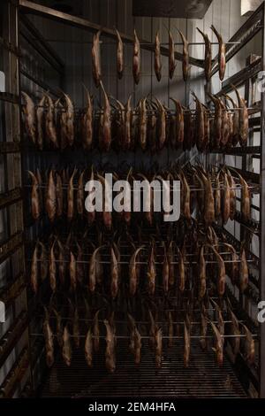 Smoked fish production concept: smoked fish in smokehouse box Stock ...