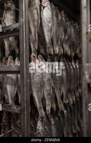 Smoked fish production concept Stock Photo - Alamy