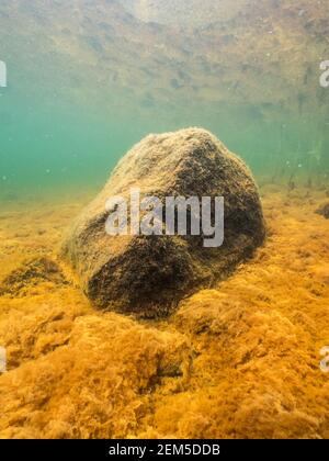 Stone on rusty lake bottom near groundwater source Stock Photo - Alamy