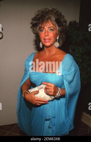 Elizabeth Taylor 1985 Credit: Ralph Dominguez/MediaPunch Stock Photo ...