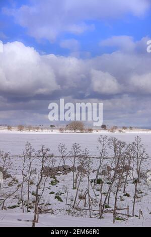 RURAL LANDSCAPE WINTER. Alta Murgia National Park in Apulia, Italy ...