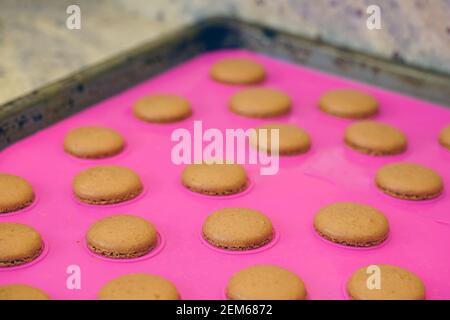 Homemade chocolate raspberry macaron cookies on parchment paper on a ...