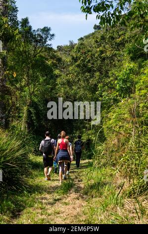 Group of young tourists hikers walking along mountain valley during ...