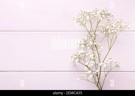 Few twigs of Gypsophila flowers lay on a light pink shabby wooden ...