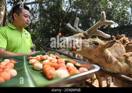 Rice shaped lantern Stock Photo - Alamy