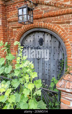 Hollyhocks in Main Street, East Hagbourne, Oxfordshire Stock Photo - Alamy