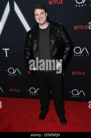 Emory Cohen at Netflix's "The OA Part II" premiere held at LACMA on ...