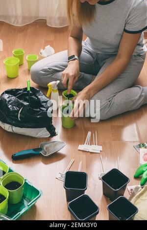Woman with plant seedlings and gardening tools at wooden table Stock ...