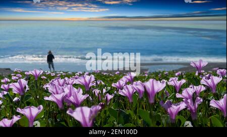 The beautiful beach place with nice folwer during sunset Stock Photo ...