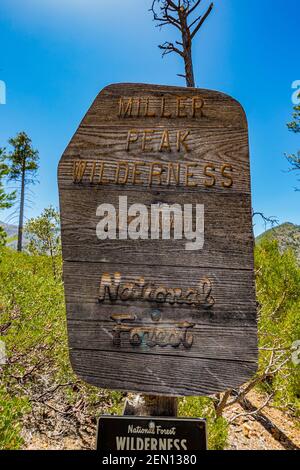 Boundary sign, Coronado National Forest, Arizona Stock Photo - Alamy