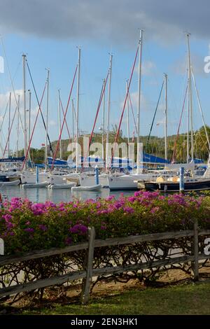 Yacht harbour Virgin Gorda Island British Virgin Islands Stock Photo ...