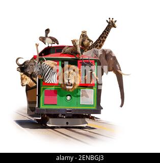 The Sky Safari Cable Car Ride At Taronga Zoo Sydney New South Wales ...