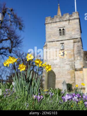 Daffodils and crocuses begin to bloom in the yard of Birlingham Church ...
