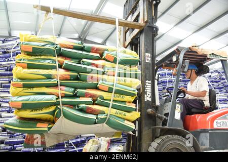A stack of sacks of crop fertilizer on farm for spreading Stock Photo ...