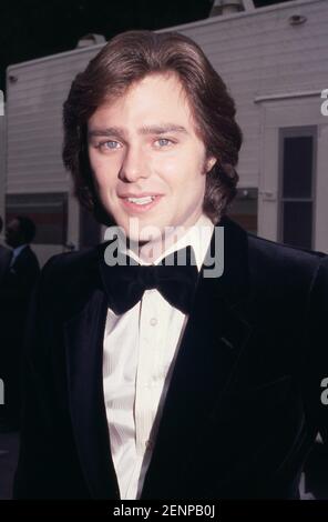 Greg Evigan 1979 Credit: Ralph Dominguez/MediaPunch Stock Photo - Alamy