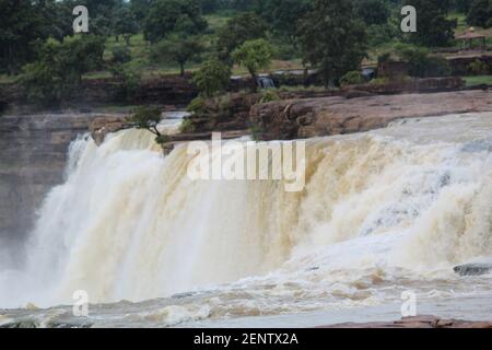 Forest ; Bastar ; Chhattisgarh ; India ; asia Stock Photo - Alamy