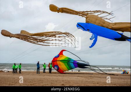 Flying kite with the shape of sea animals, manta, turtle and fish Stock ...