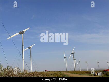 Ashegoda Wind Farm near Mekele, Tigray region, Ethiopia Stock Photo - Alamy