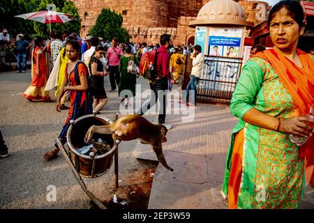 India: 'The Rulers of the Mughal Dynasty from Babur to Aurangzeb, with ...