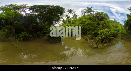 360° view of Rainforest in the Philippines. 360-Degree view - Alamy
