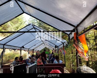Roaring Camp and Big Trees Railroad in Felton California USA Stock ...